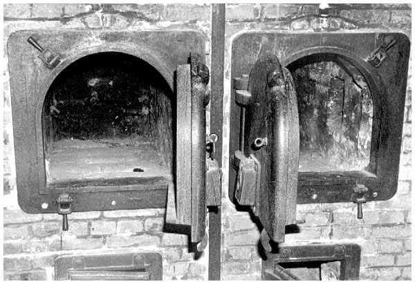 Photographs of Auschwitz - Birkenau Concentration Camps